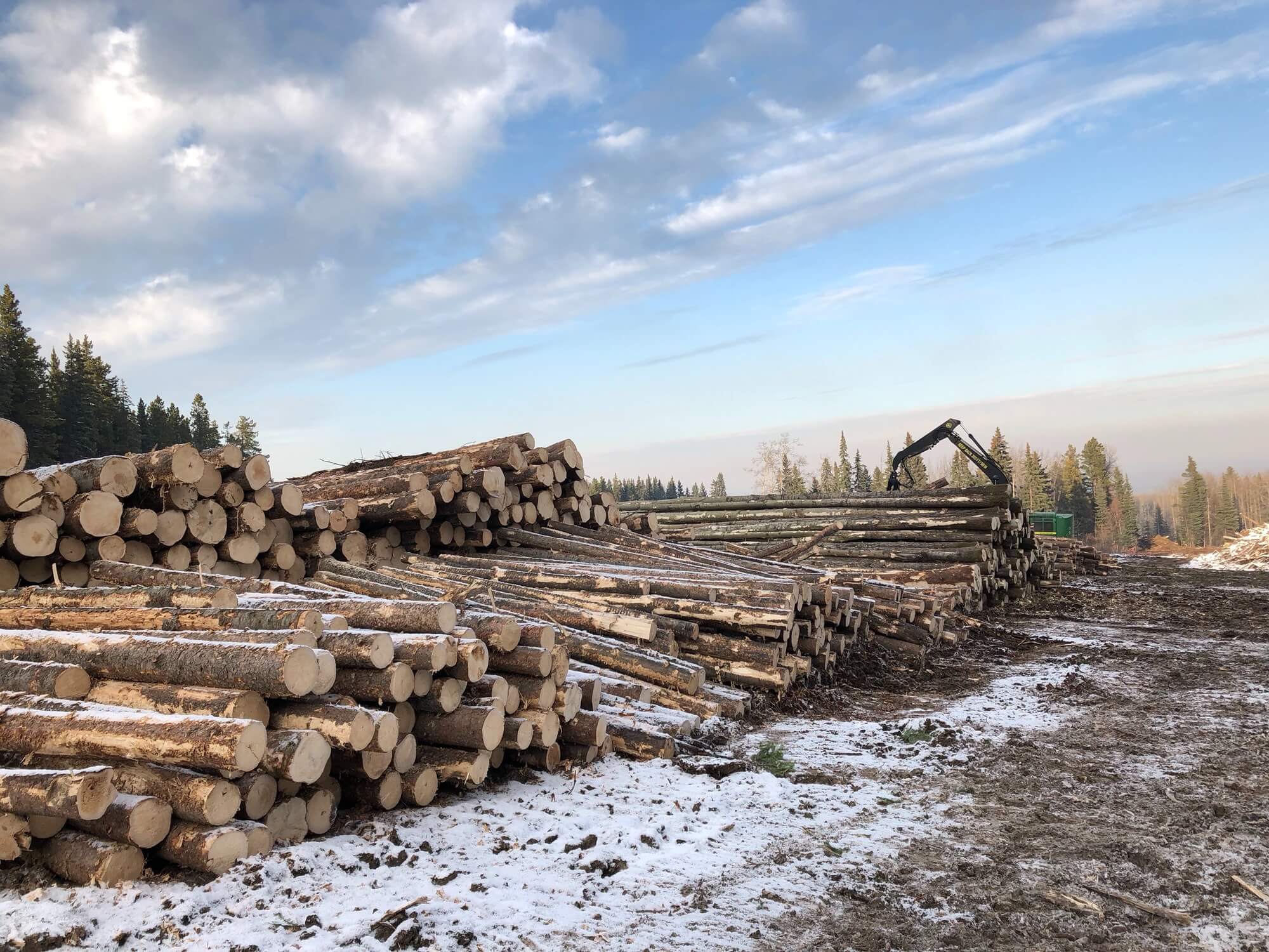 Forestry Services - Backwoods Energy Services