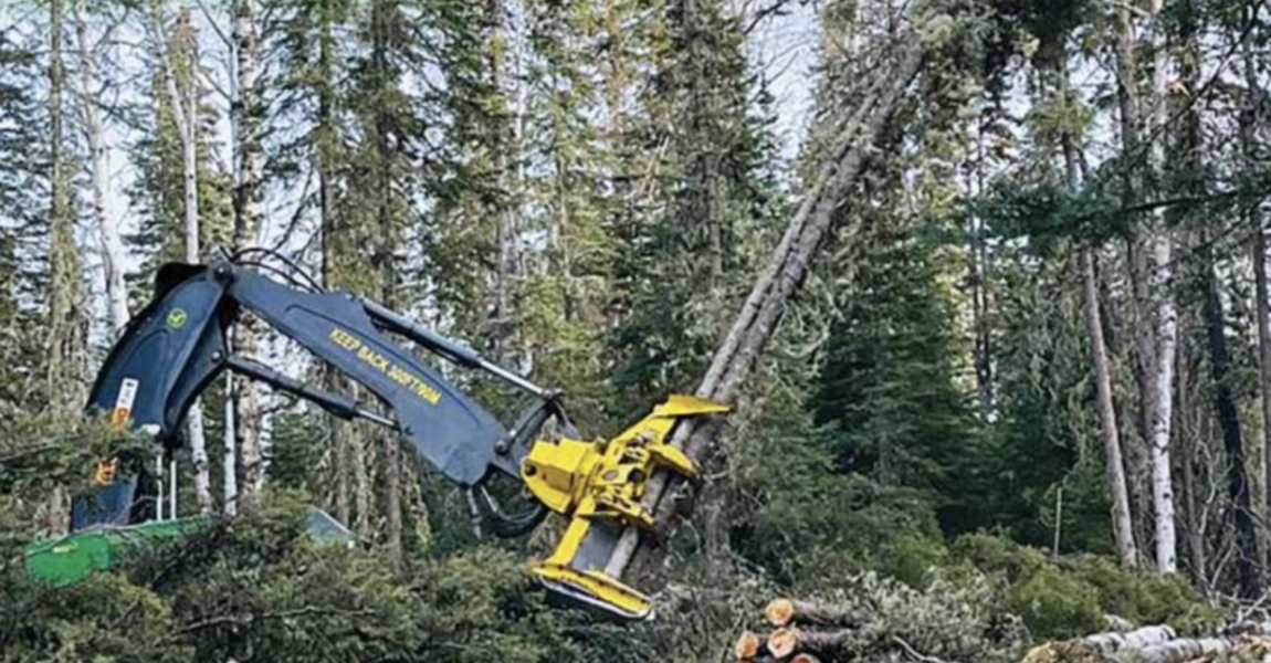 Switching Gears in Alberta... to forestry - Backwoods Energy Services